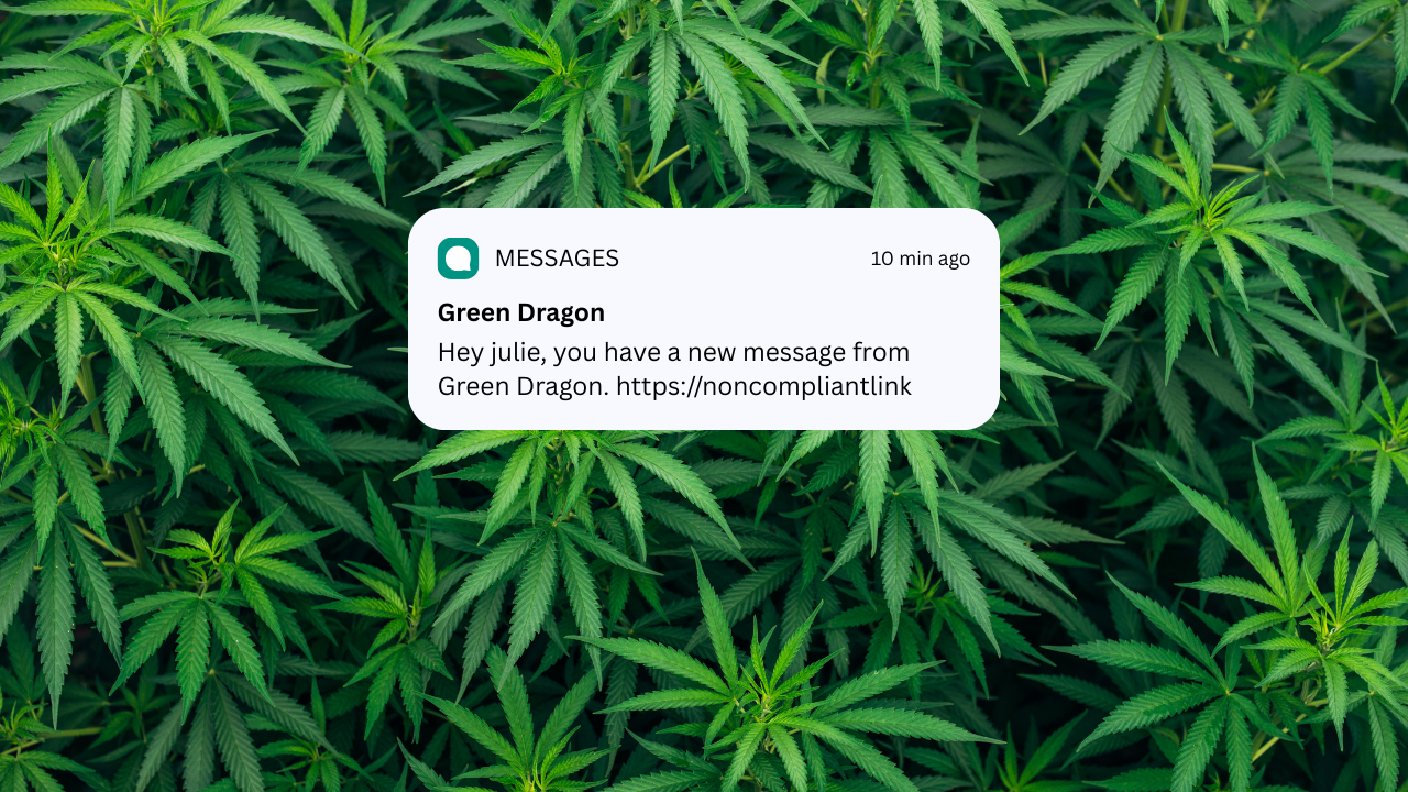 Text Messaging for Cannabis Businesses: The Complete Truth About ...